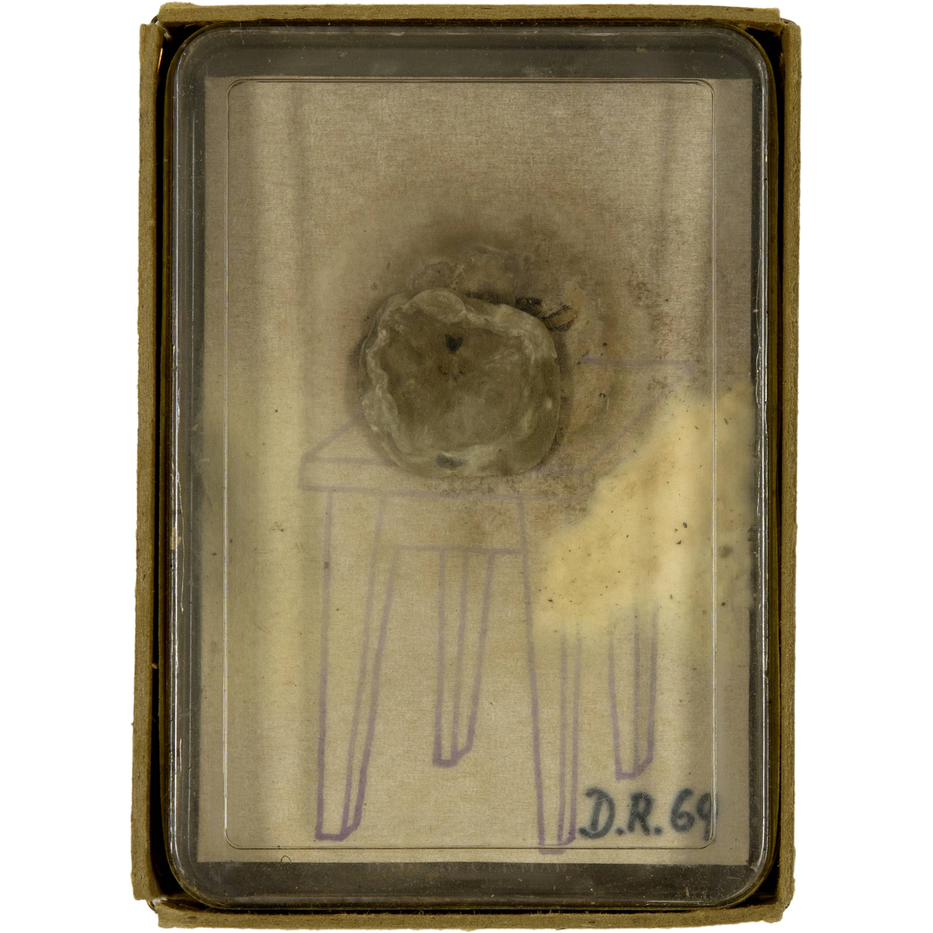 Dieter Roth : Taschenzimmer von Diter Rot , 1969 | Galerie Kornfeld ...