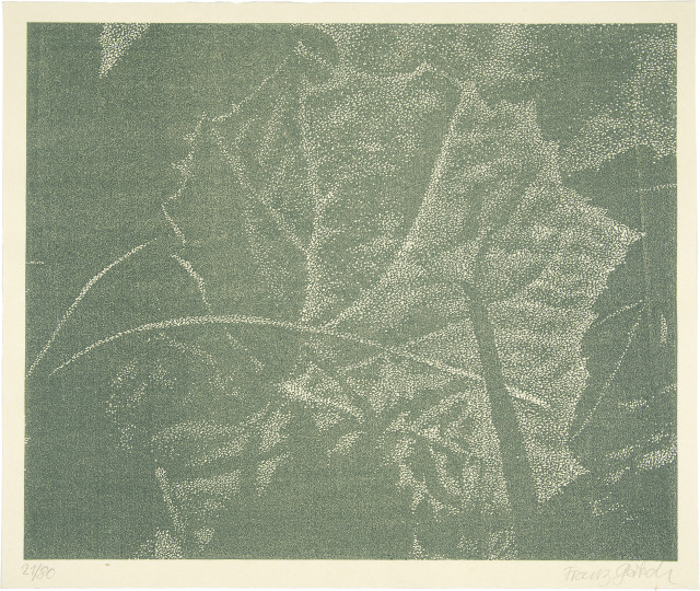 Franz Gertsch : Pestwurz , 1994 | Galerie Kornfeld Auktionen Bern