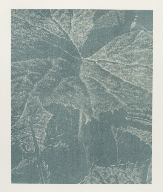 Franz Gertsch : Bagatelle Pestwurz (Detail 2) , 1993 | Galerie Kornfeld Auktionen Bern