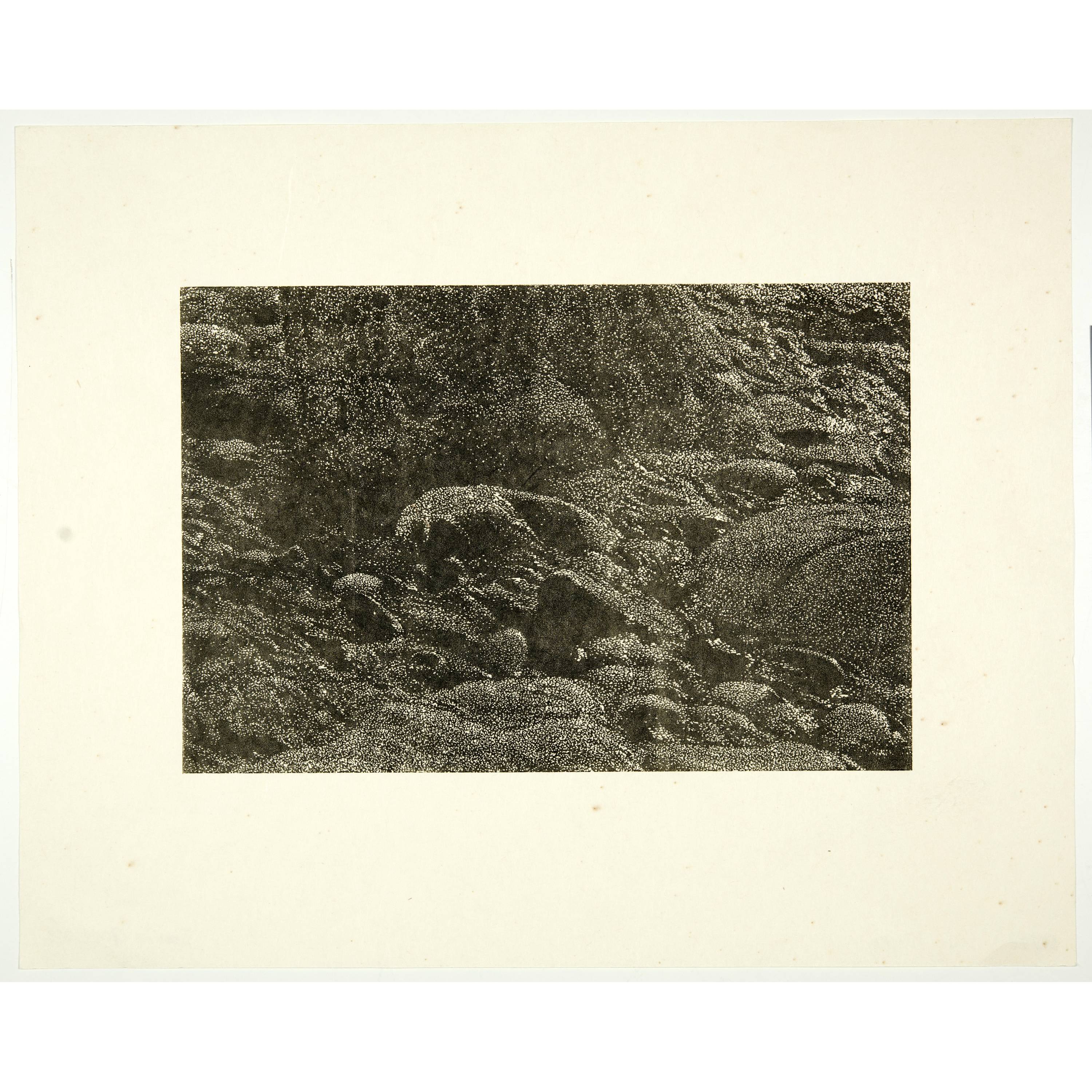 Franz Gertsch : Cima del Mar (Ausschnitt) , 1992 | Galerie Kornfeld Auktionen Bern