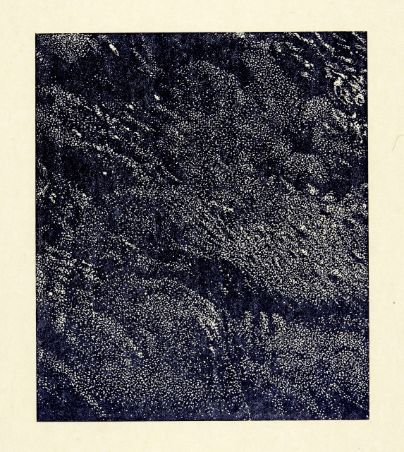 Franz Gertsch : Cima del Mar (Ausschnitt), 1991 | Galerie Kornfeld Auktionen Bern