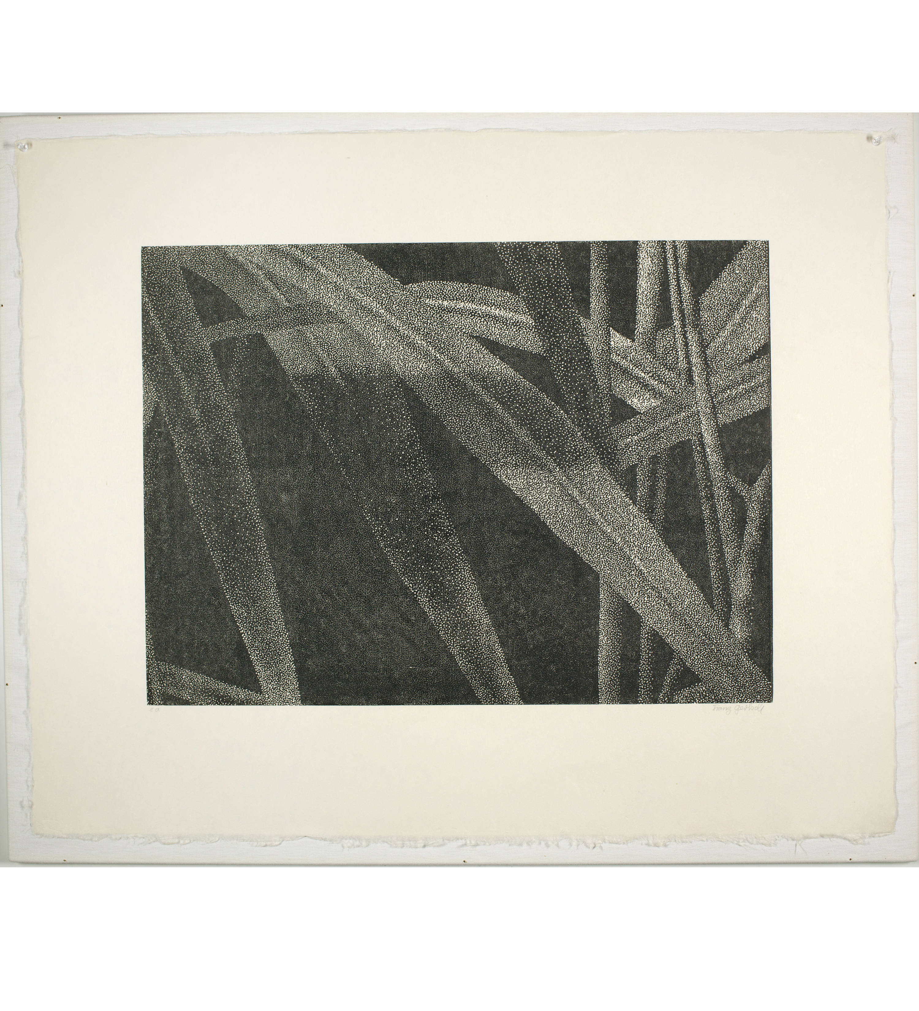 Franz Gertsch : Ausschnitt aus Gräser I , 2002 | Galerie Kornfeld Auktionen Bern