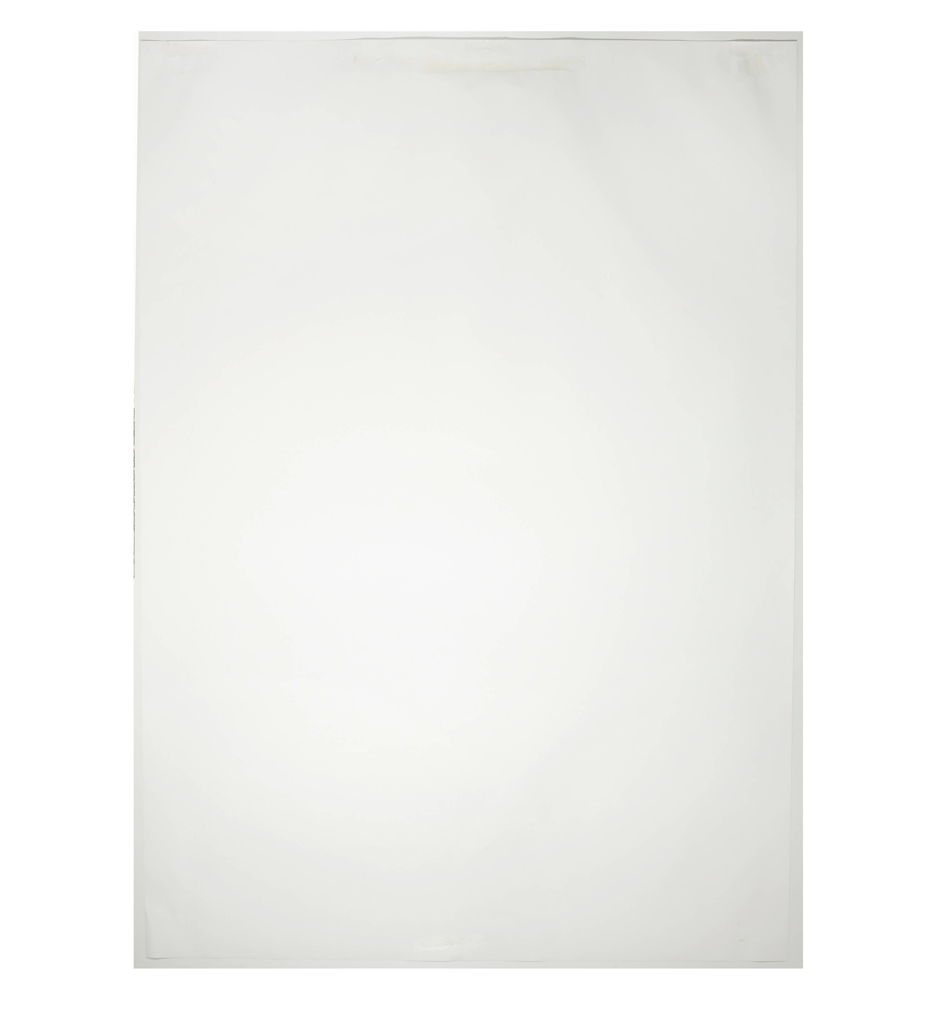 Franz Gertsch : Dominique , 1997 | Galerie Kornfeld Auktionen Bern